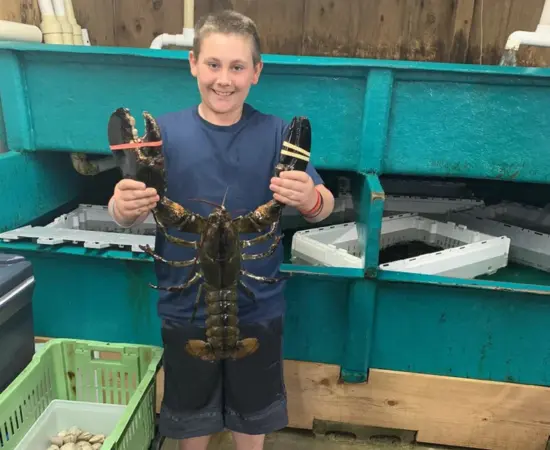 Northland Lobster Co