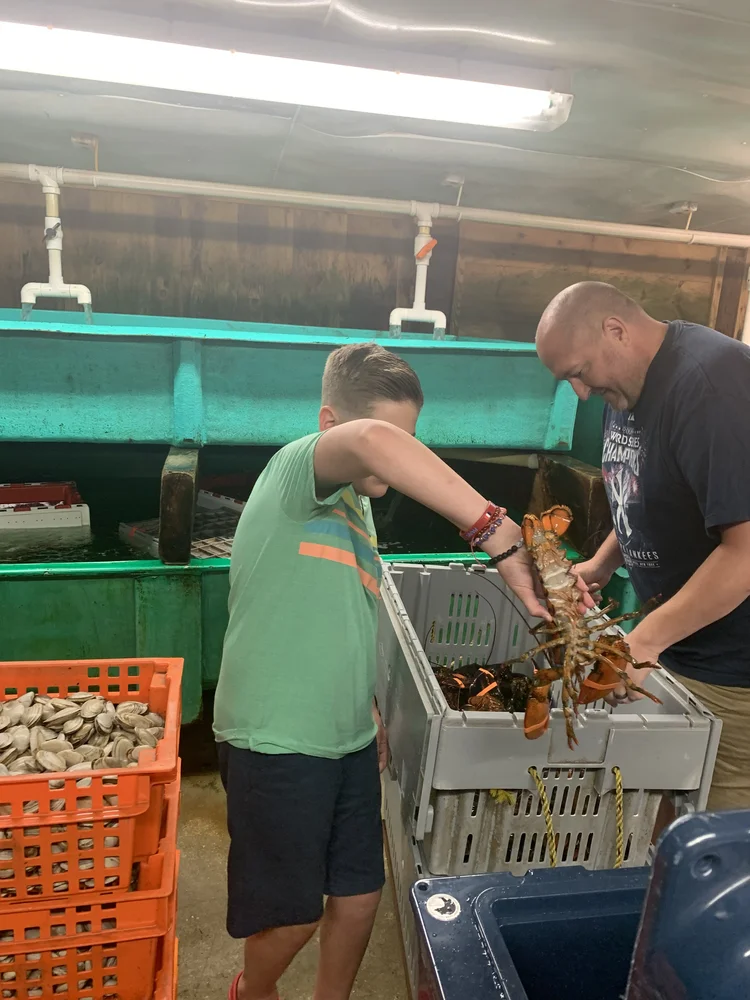 Northland Lobster Co