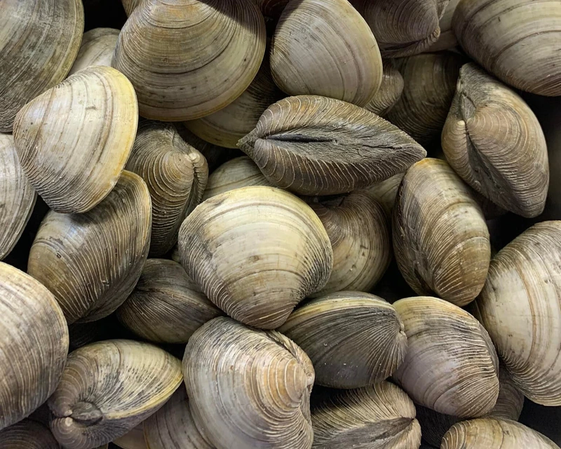 Northland Lobster Co